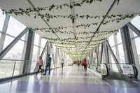 Centro Comercial Mayorca - Superboard