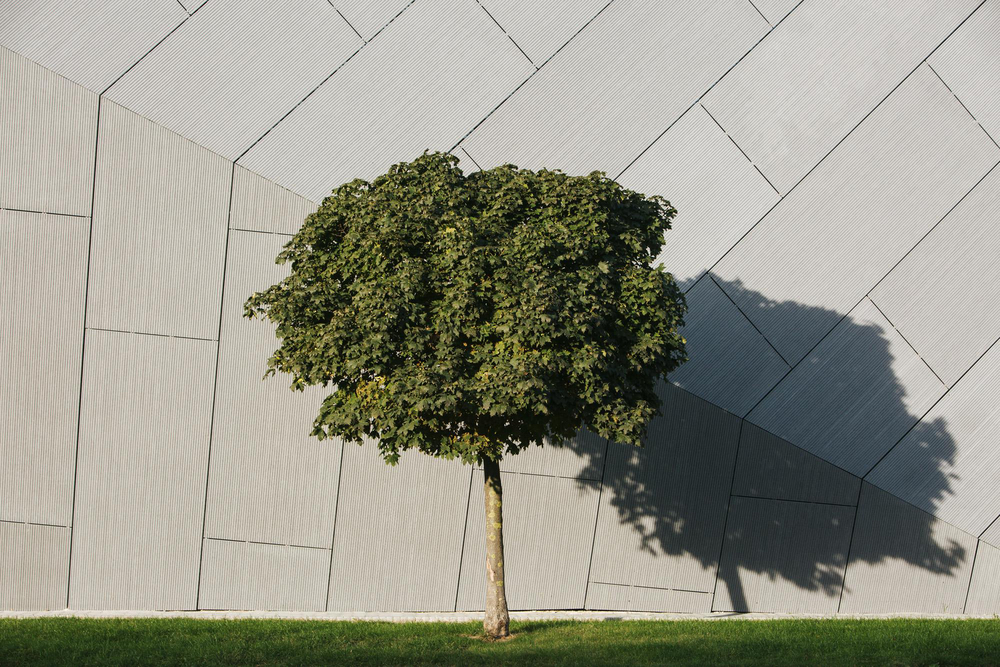 Detail Page - EQUITONE