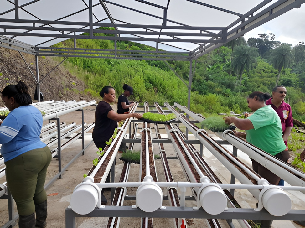 Community garden, Trinidad and Tobago